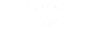 What Colors Are Turtles? 7 Fascinating Facts & Variations